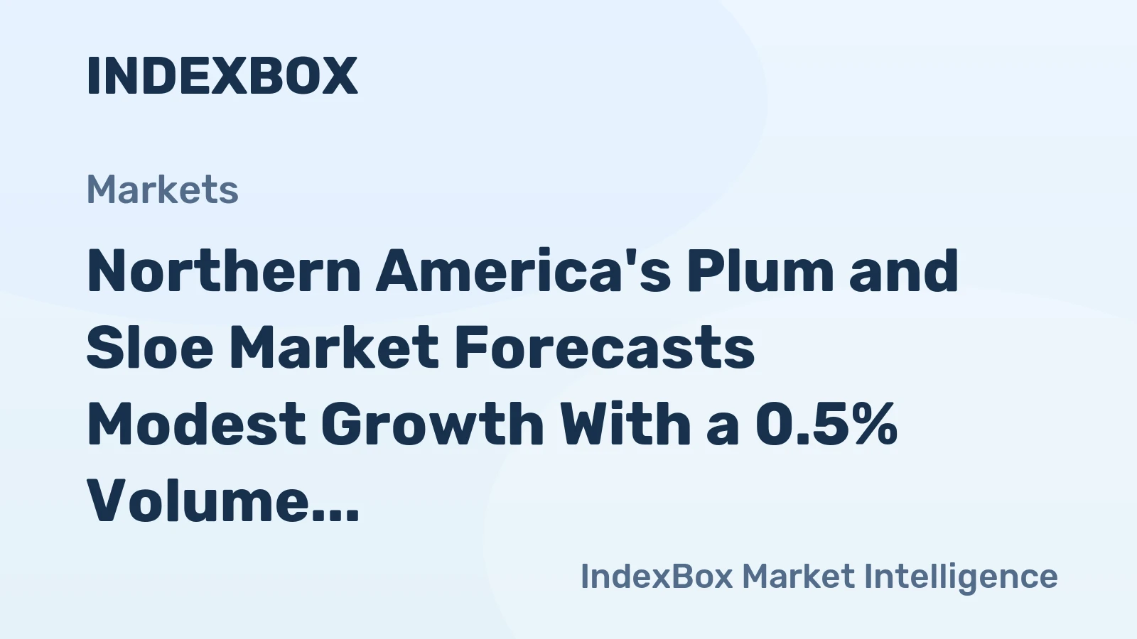 Northern America's Plum and Sloe Market Forecasts Modest Growth With a 0.5% Volume CAGR