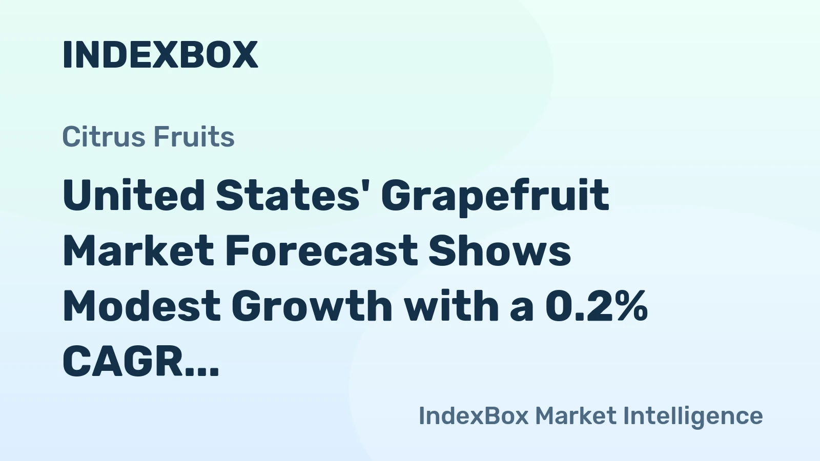 United States' Grapefruit Market Forecast Shows Modest Growth with a 0.2% CAGR Volume Increase