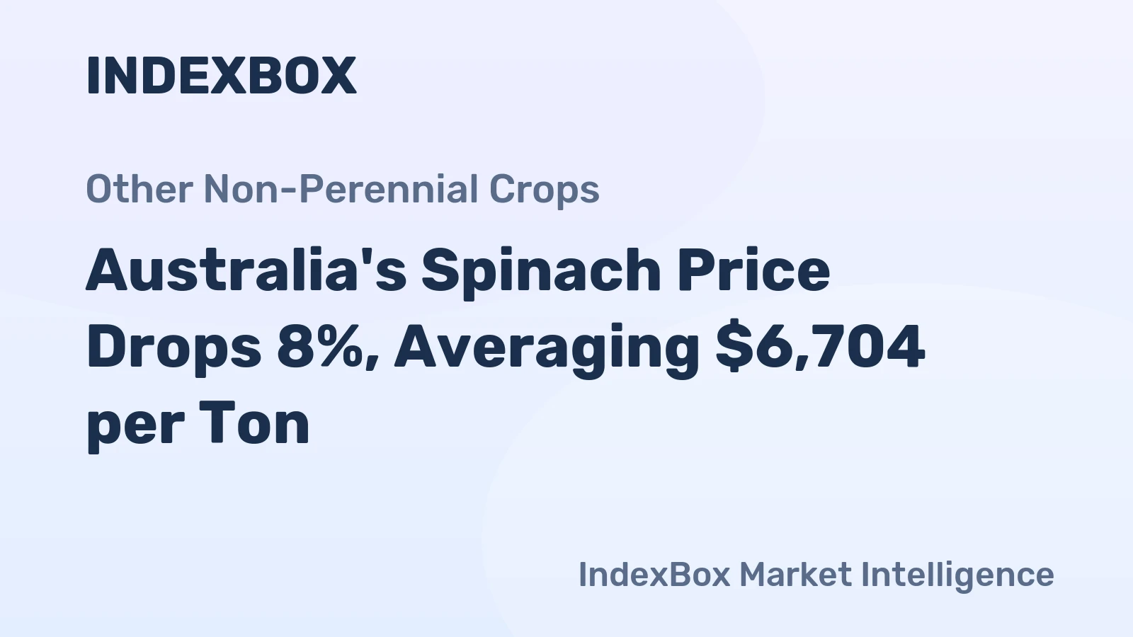 Australia's Spinach Price Drops 8%, Averaging $6,704 per Ton