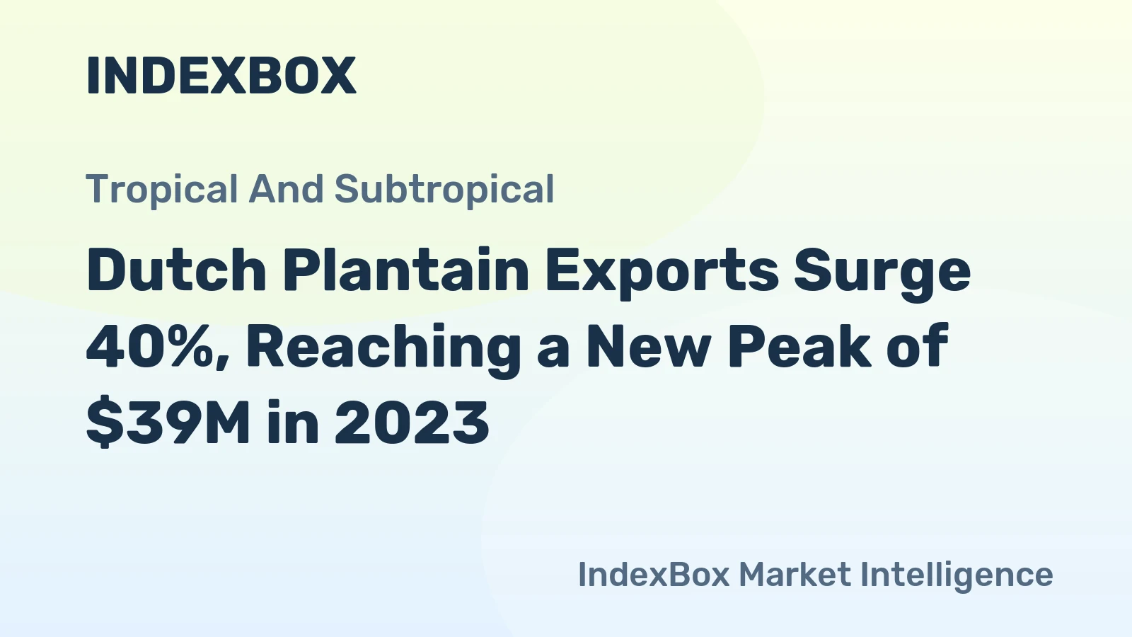 Dutch Plantain Exports Surge 40%, Reaching a New Peak of $39M in 2023