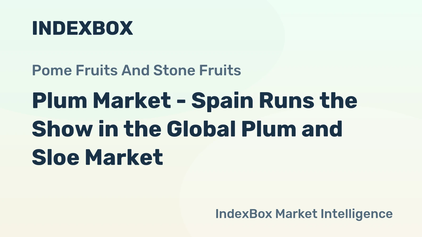 Plum Market - Spain Runs the Show in the Global Plum and Sloe Market