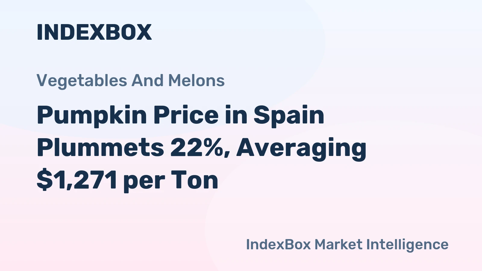 Pumpkin Price in Spain Plummets 22%, Averaging $1,271 per Ton