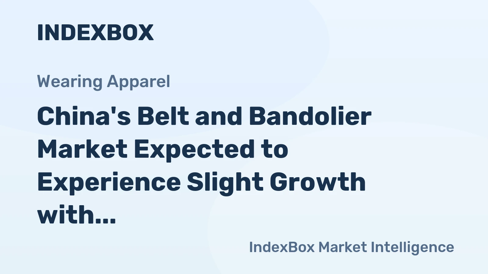 China's Belt and Bandolier Market Expected to Experience Slight Growth with +1.5% CAGR over Next Decade