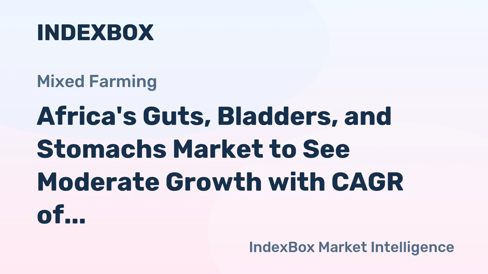 Africa's Guts, Bladders, and Stomachs Market to See Moderate Growth with CAGR of +1.7% from 2024 to 2035