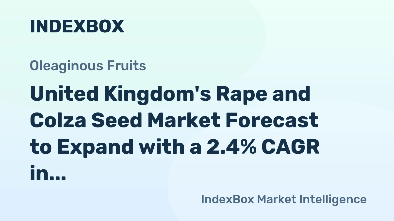 United Kingdom's Rape and Colza Seed Market Forecast to Expand with a 2.4% CAGR in Value Terms