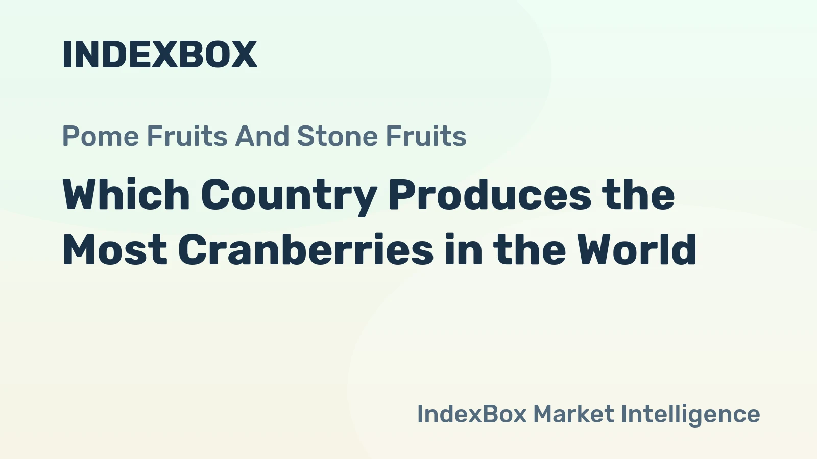 Which Country Produces the Most Cranberries in the World?