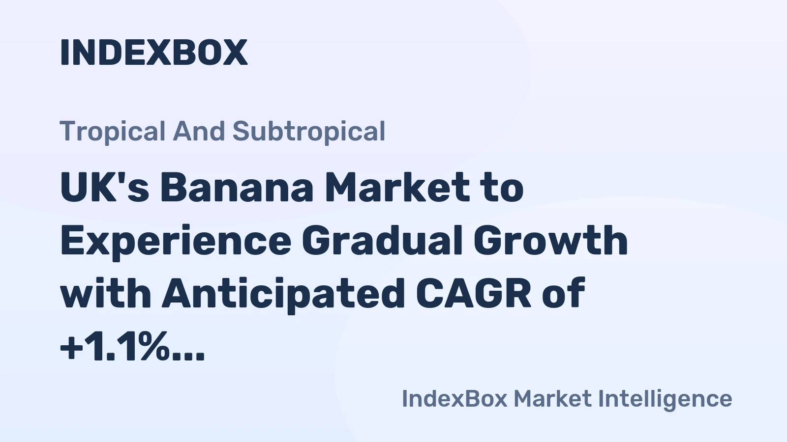 UK's Banana Market to Experience Gradual Growth with Anticipated CAGR of +1.1% from 2024-2035