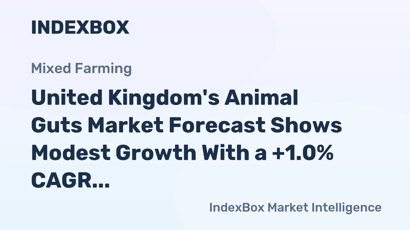 United Kingdom's Animal Guts Market Forecast Shows Modest Growth With a +1.0% CAGR