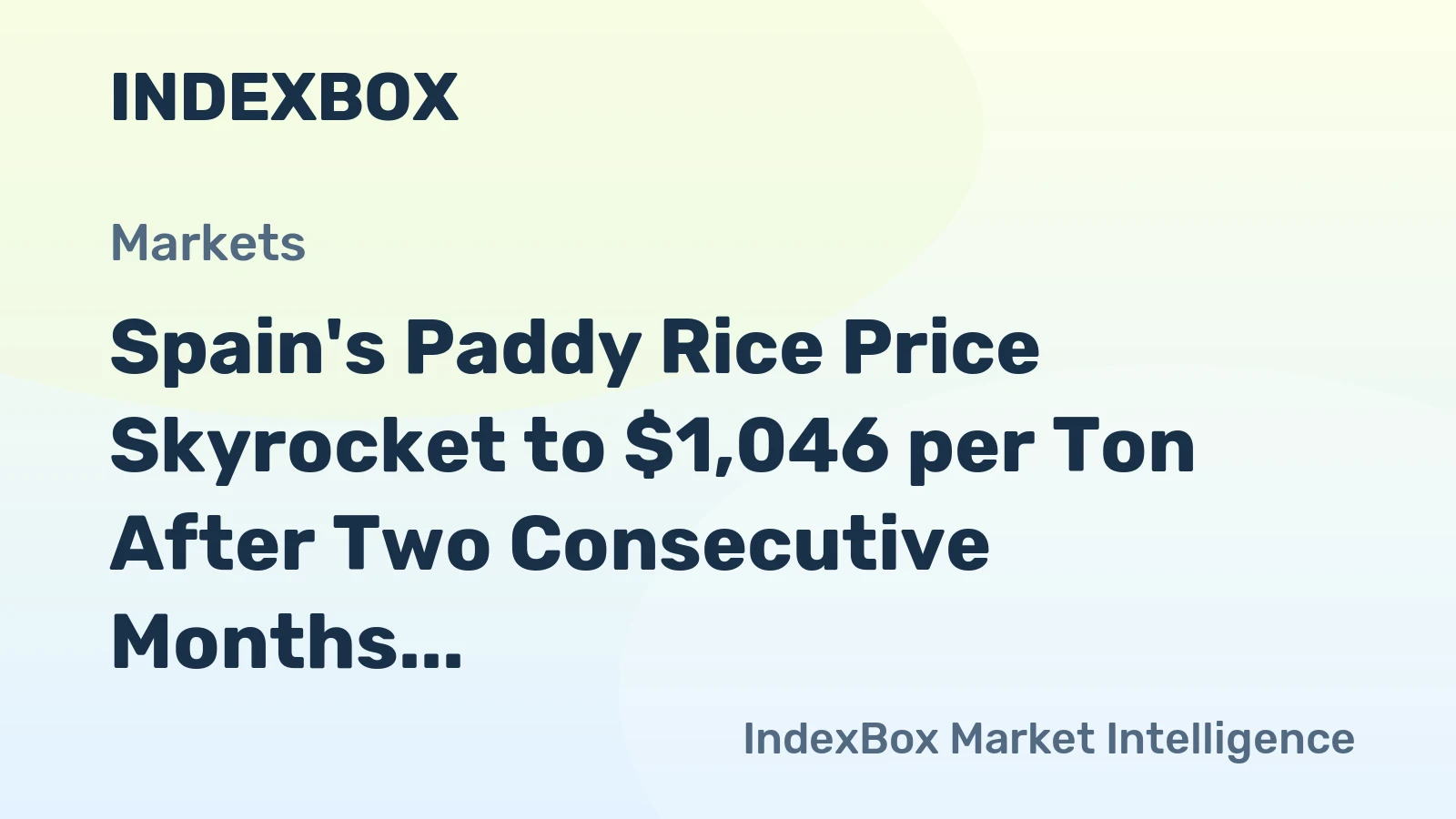 Spain's Paddy Rice Price Skyrocket to $1,046 per Ton After Two Consecutive Months of Growth