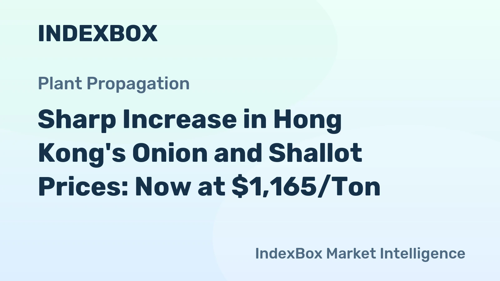 Sharp Increase in Hong Kong's Onion and Shallot Prices: Now at $1,165/Ton