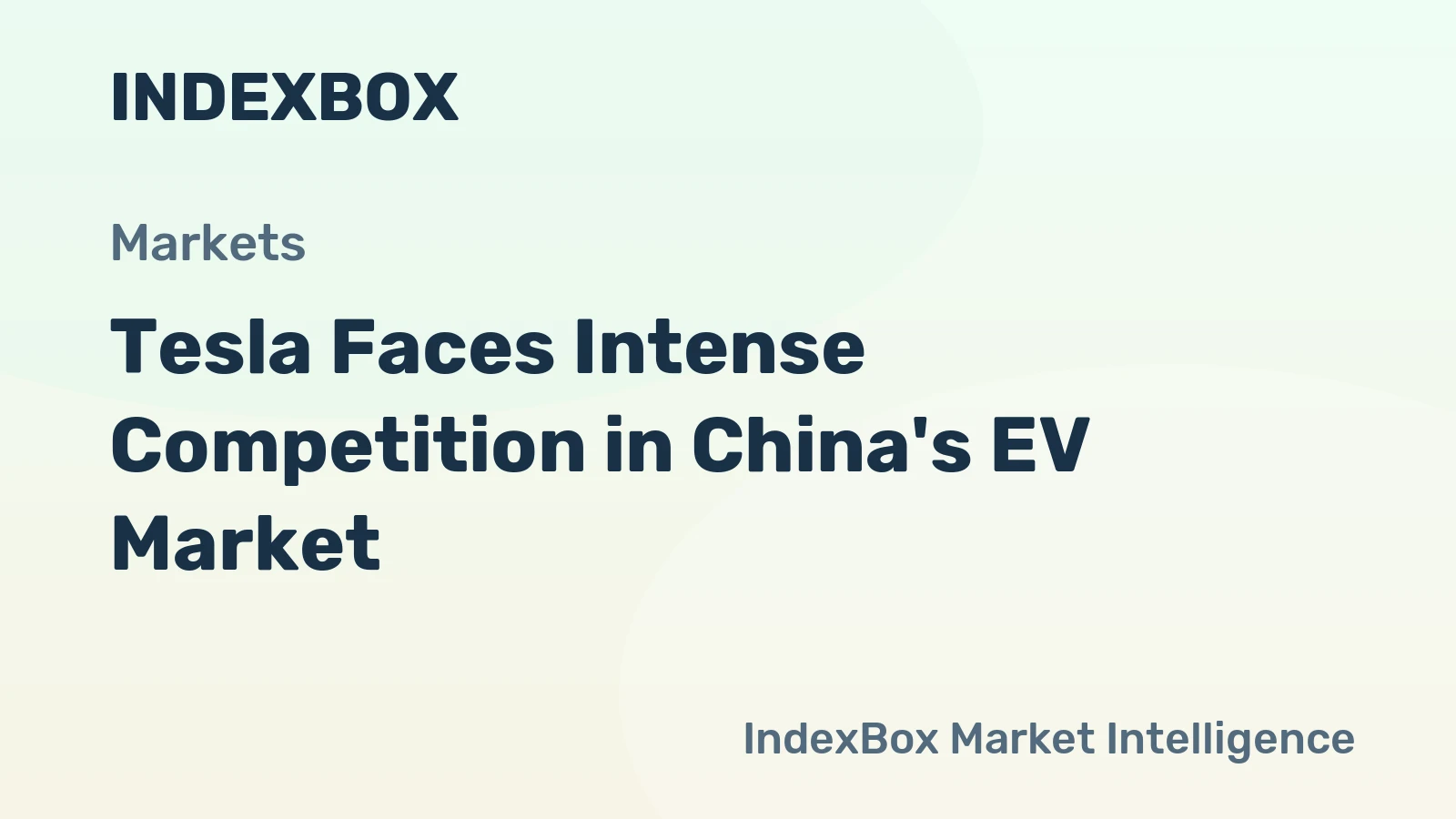 Tesla Faces Intense Competition in China's EV Market