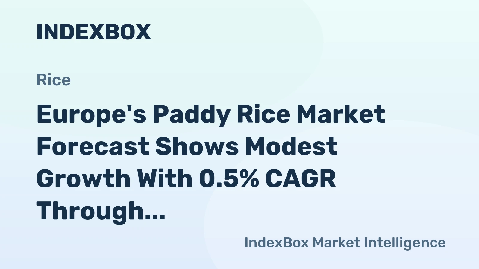 Europe's Paddy Rice Market Forecast Shows Modest Growth With 0.5% CAGR Through 2035