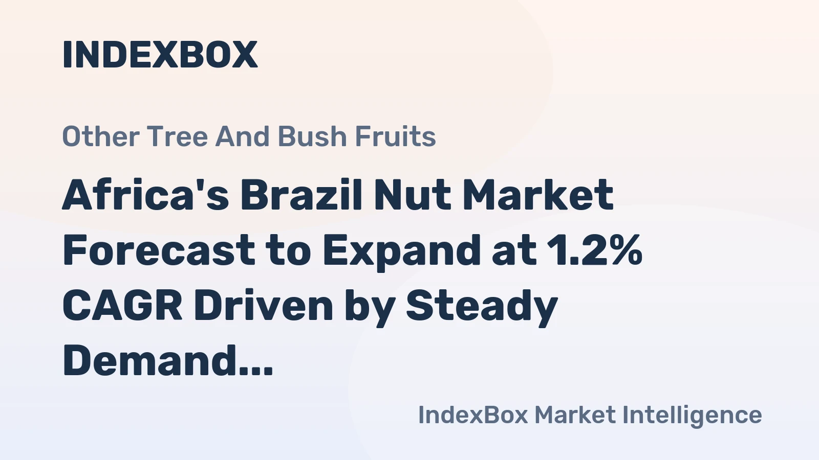 Africa's Brazil Nut Market Forecast to Expand at 1.2% CAGR Driven by Steady Demand