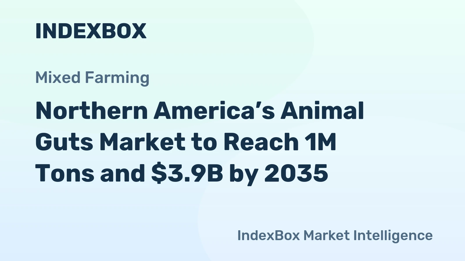 Northern America’s Animal Guts Market to Reach 1M Tons and $3.9B by 2035