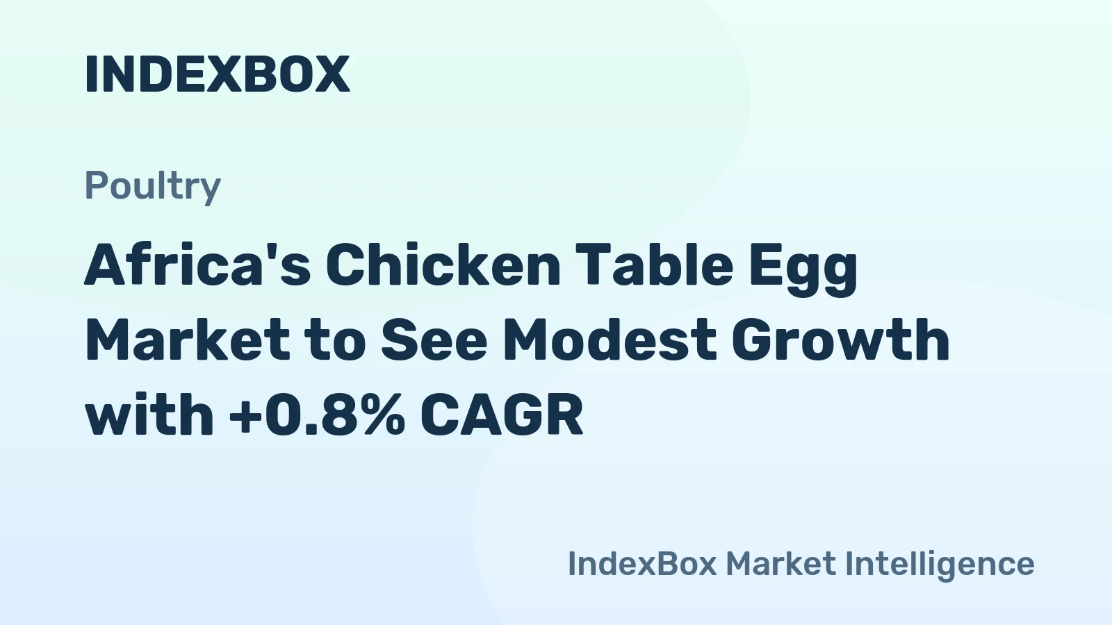 Africa's Chicken Table Egg Market to See Modest Growth with +0.8% CAGR