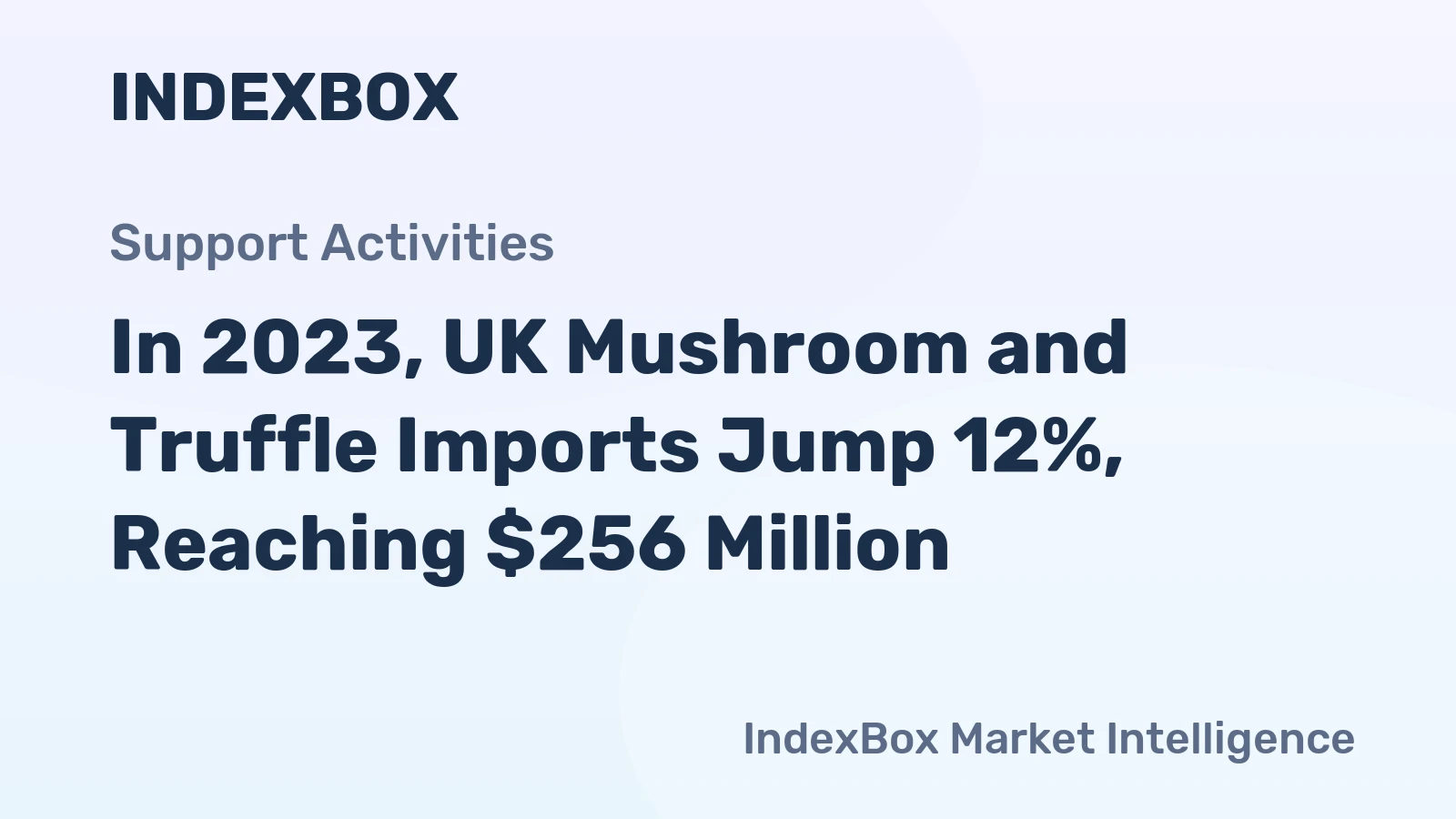 In 2023, UK Mushroom and Truffle Imports Jump 12%, Reaching $256 Million