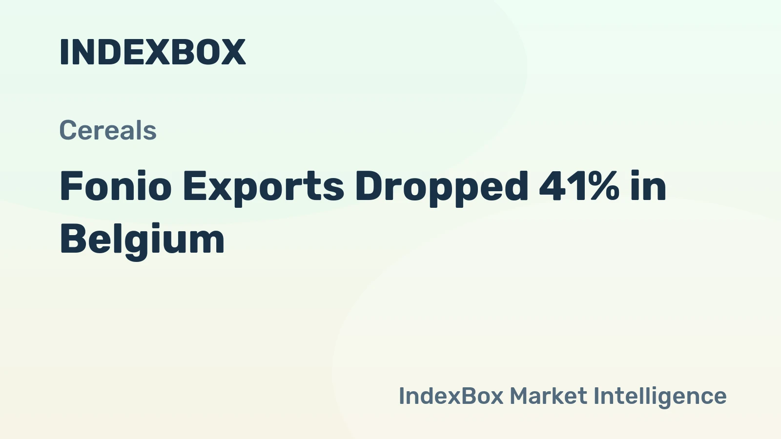 Fonio Exports Dropped 41% in Belgium