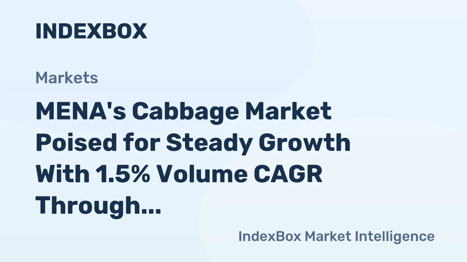 MENA's Cabbage Market Poised for Steady Growth With 1.5% Volume CAGR Through 2035