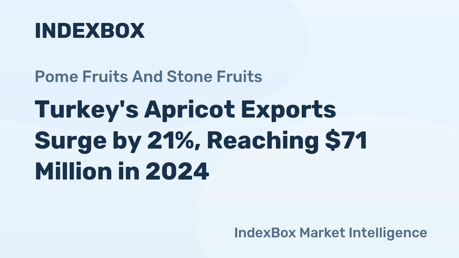 Turkey's Apricot Exports Surge by 21%, Reaching $71 Million in 2024
