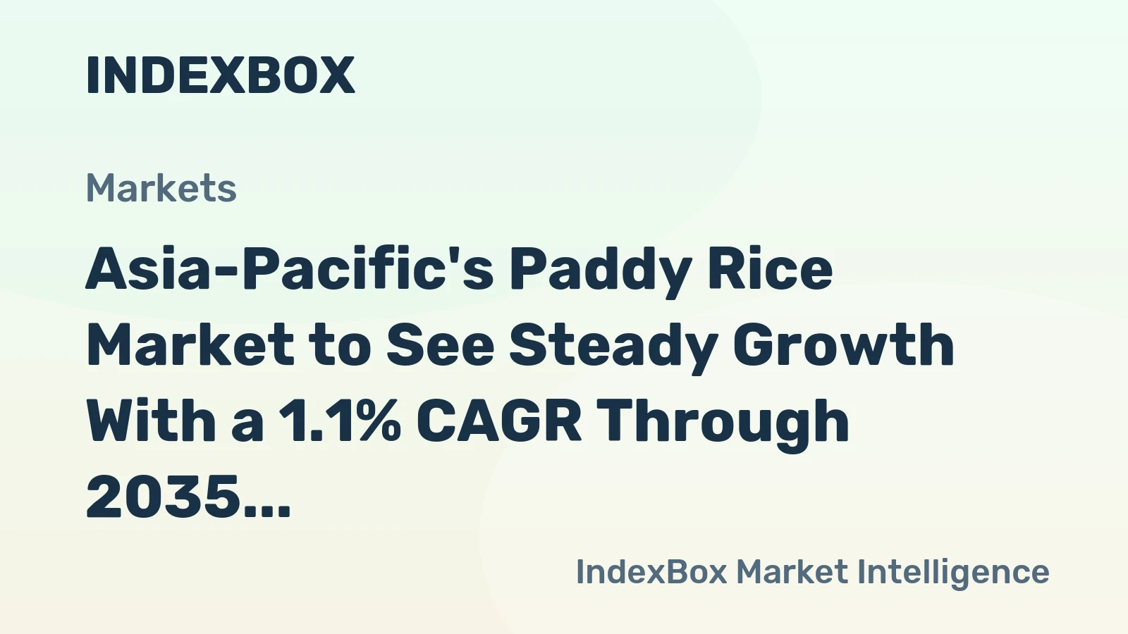 Asia-Pacific's Paddy Rice Market to See Steady Growth With a 1.1% CAGR Through 2035
