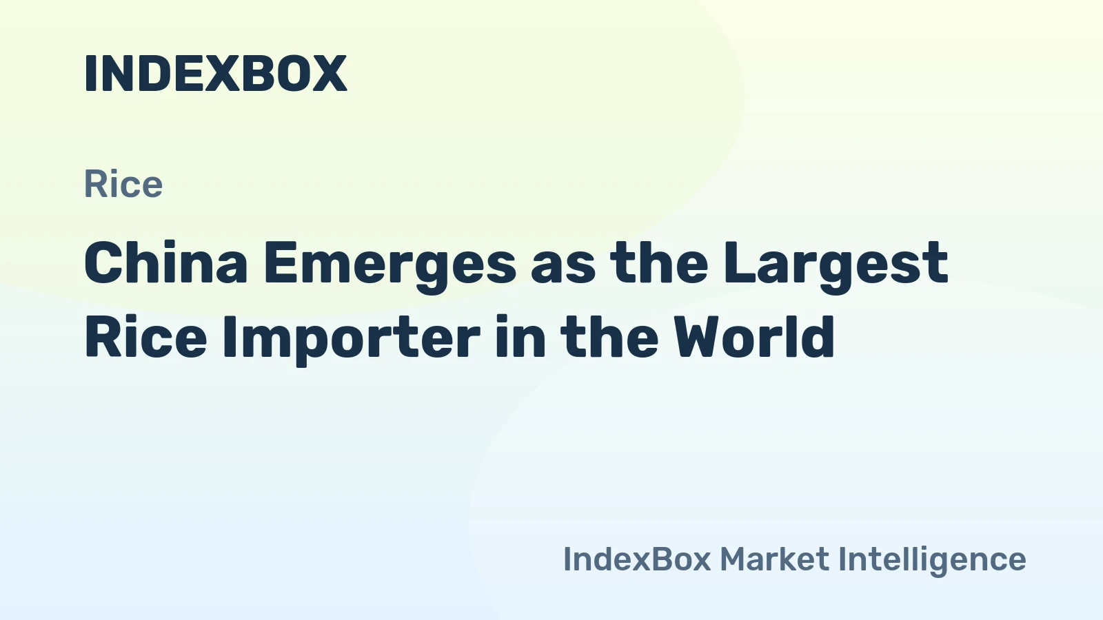China Emerges as the Largest Rice Importer in the World