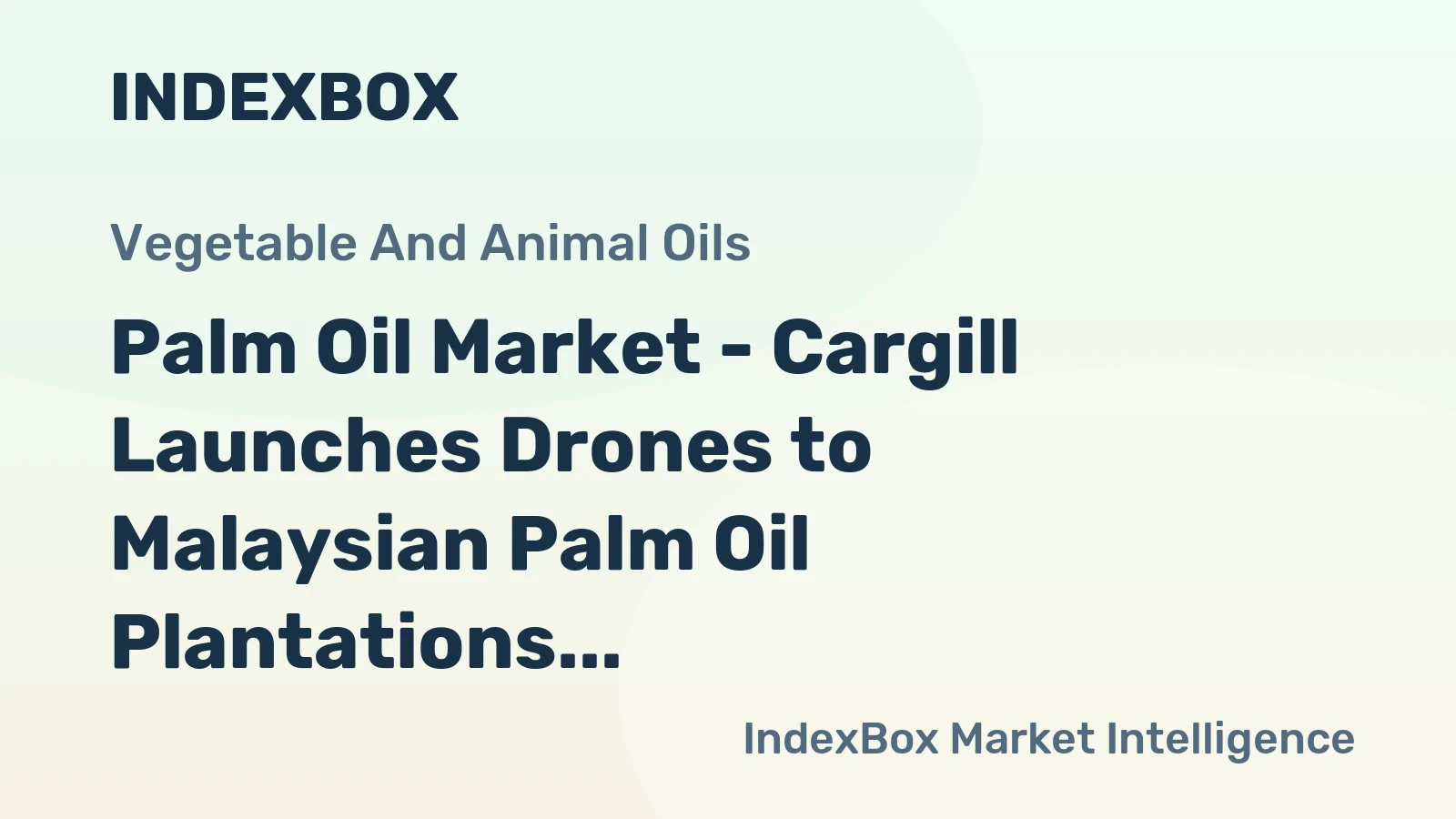 Palm Oil Market - Cargill Launches Drones to Malaysian Palm Oil Plantations