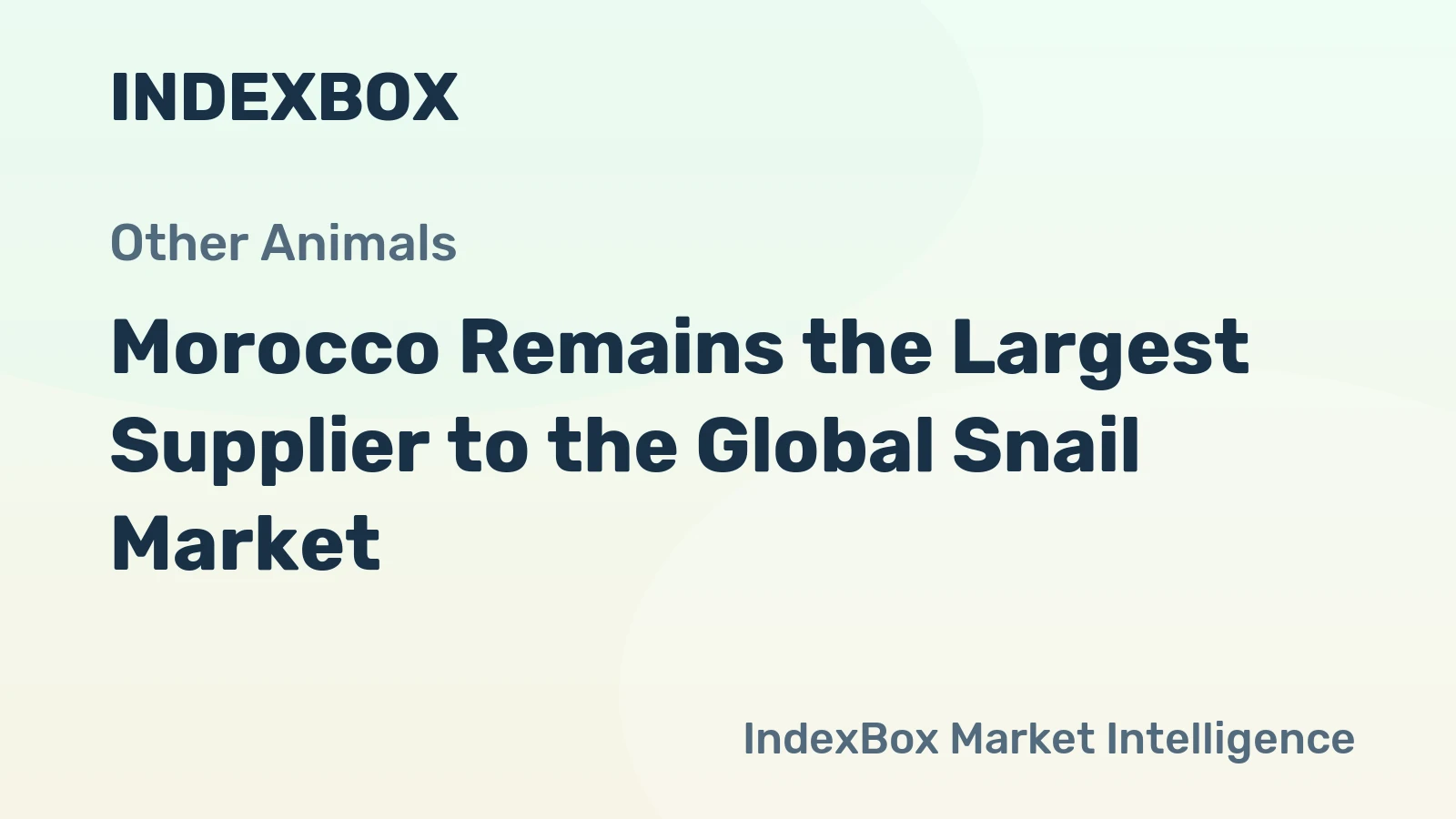 Morocco Remains the Largest Supplier to the Global Snail Market