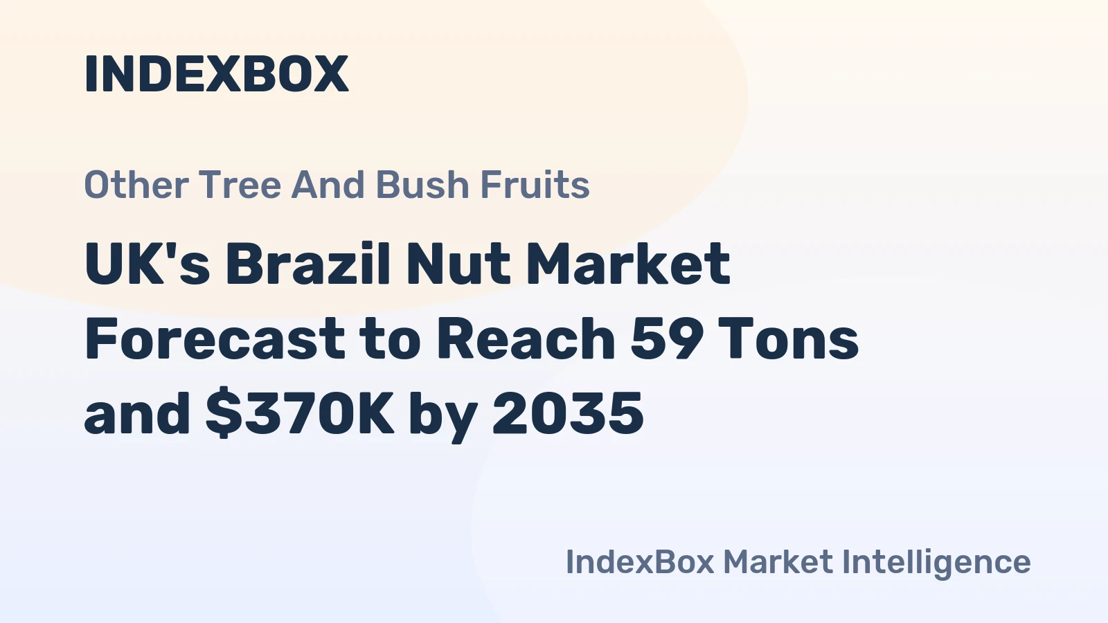 UK's Brazil Nut Market Forecast to Reach 59 Tons and $370K by 2035