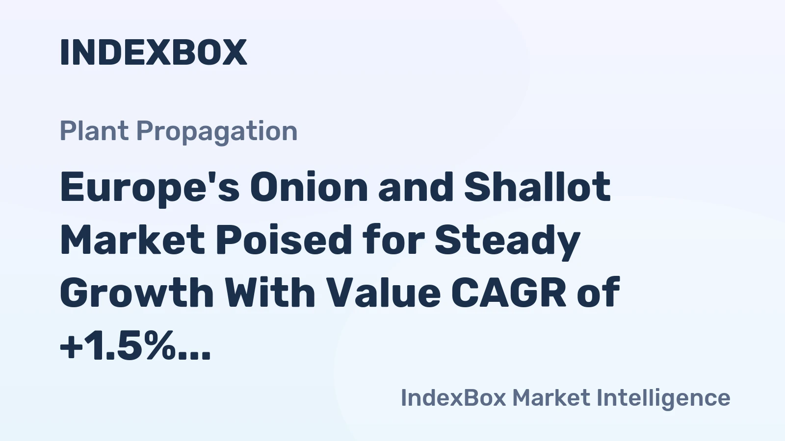 Europe's Onion and Shallot Market Poised for Steady Growth With Value CAGR of +1.5% Through 2035