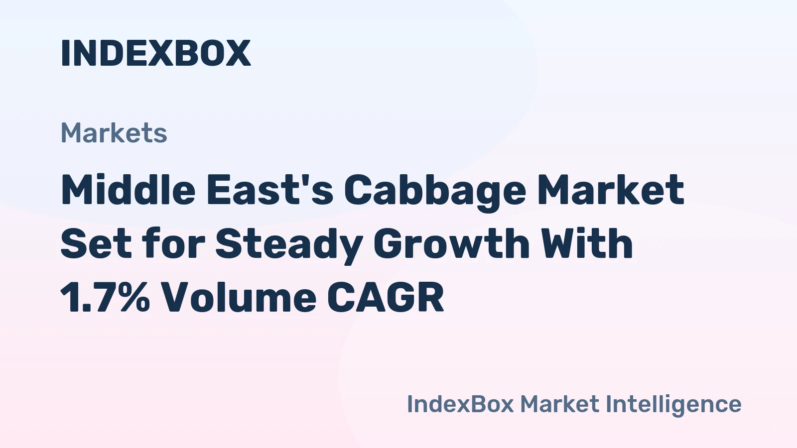 Middle East's Cabbage Market Set for Steady Growth With 1.7% Volume CAGR