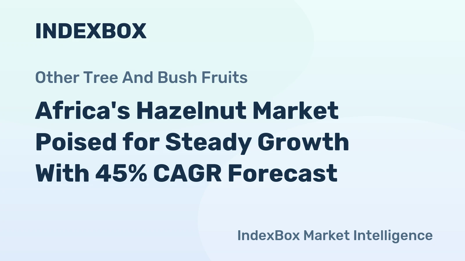Africa's Hazelnut Market Poised for Steady Growth With 45% CAGR Forecast