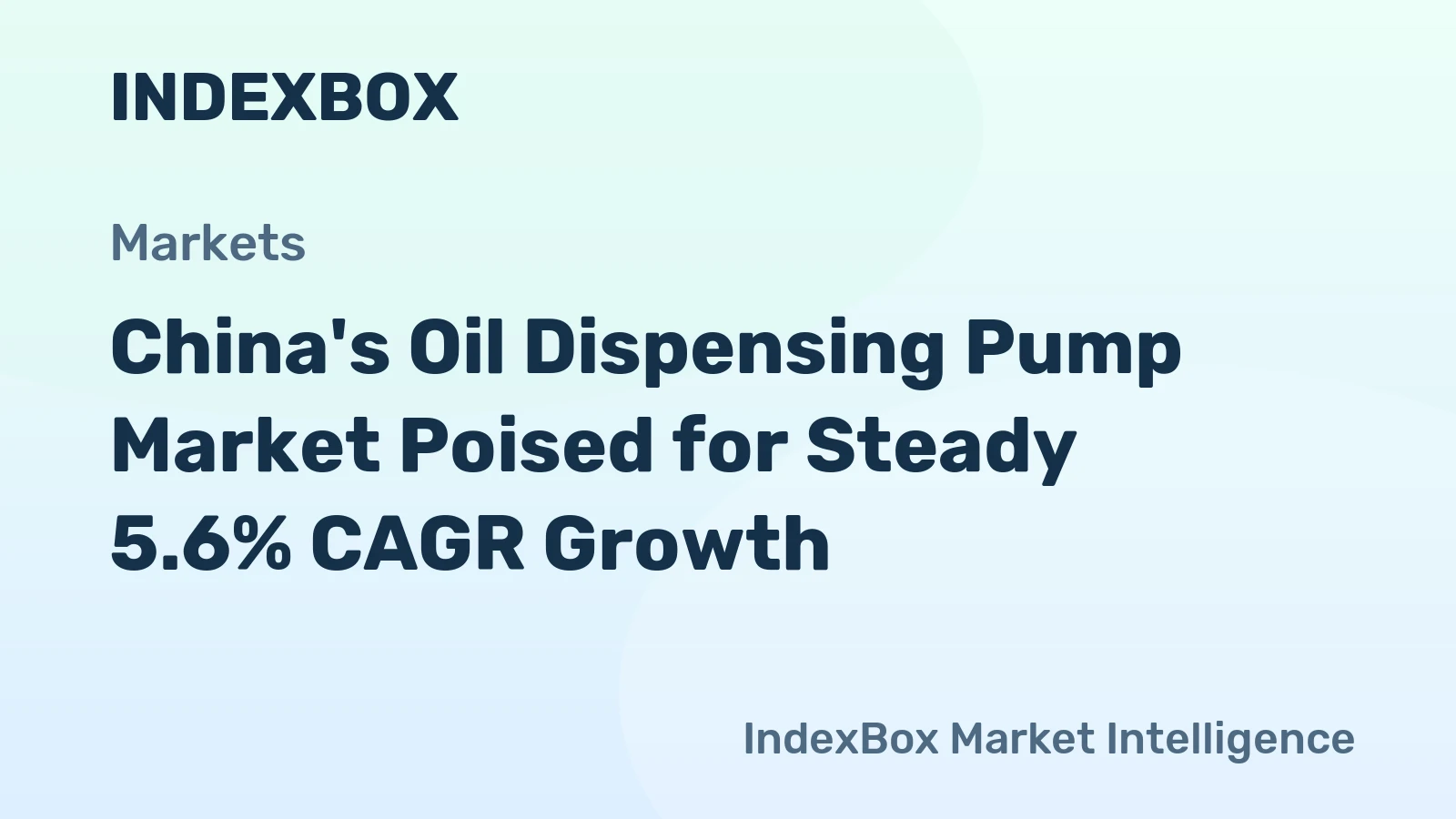 China's Oil Dispensing Pump Market Poised for Steady 5.6% CAGR Growth