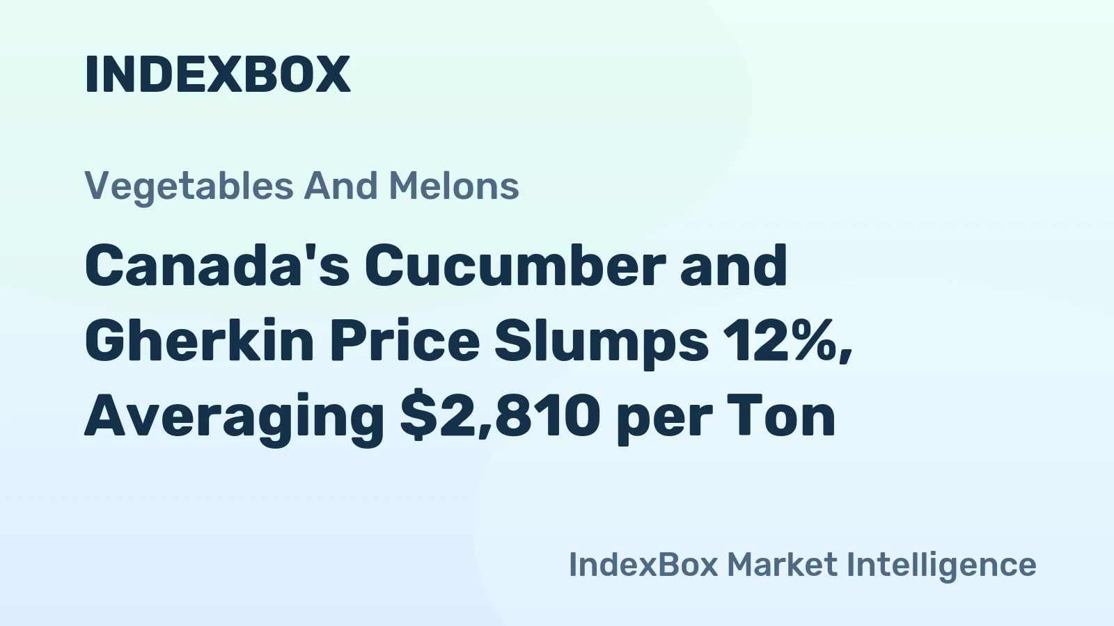Canada's Cucumber and Gherkin Price Slumps 12%, Averaging $2,810 per Ton