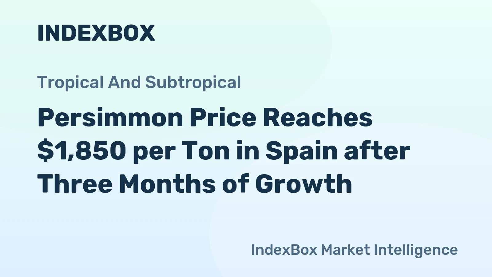 Persimmon Price Reaches $1,850 per Ton in Spain after Three Months of Growth