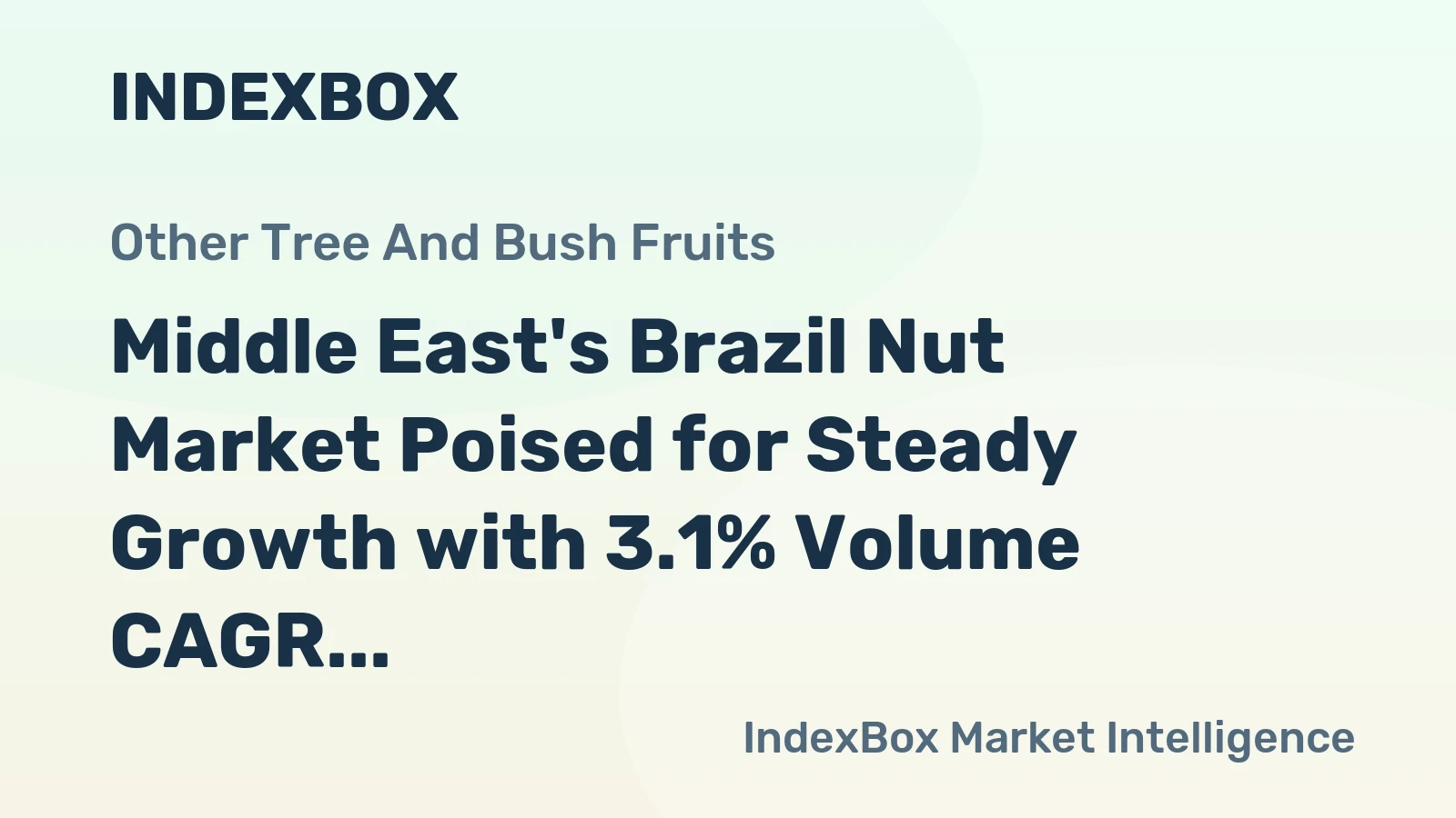 Middle East's Brazil Nut Market Poised for Steady Growth with 3.1% Volume CAGR