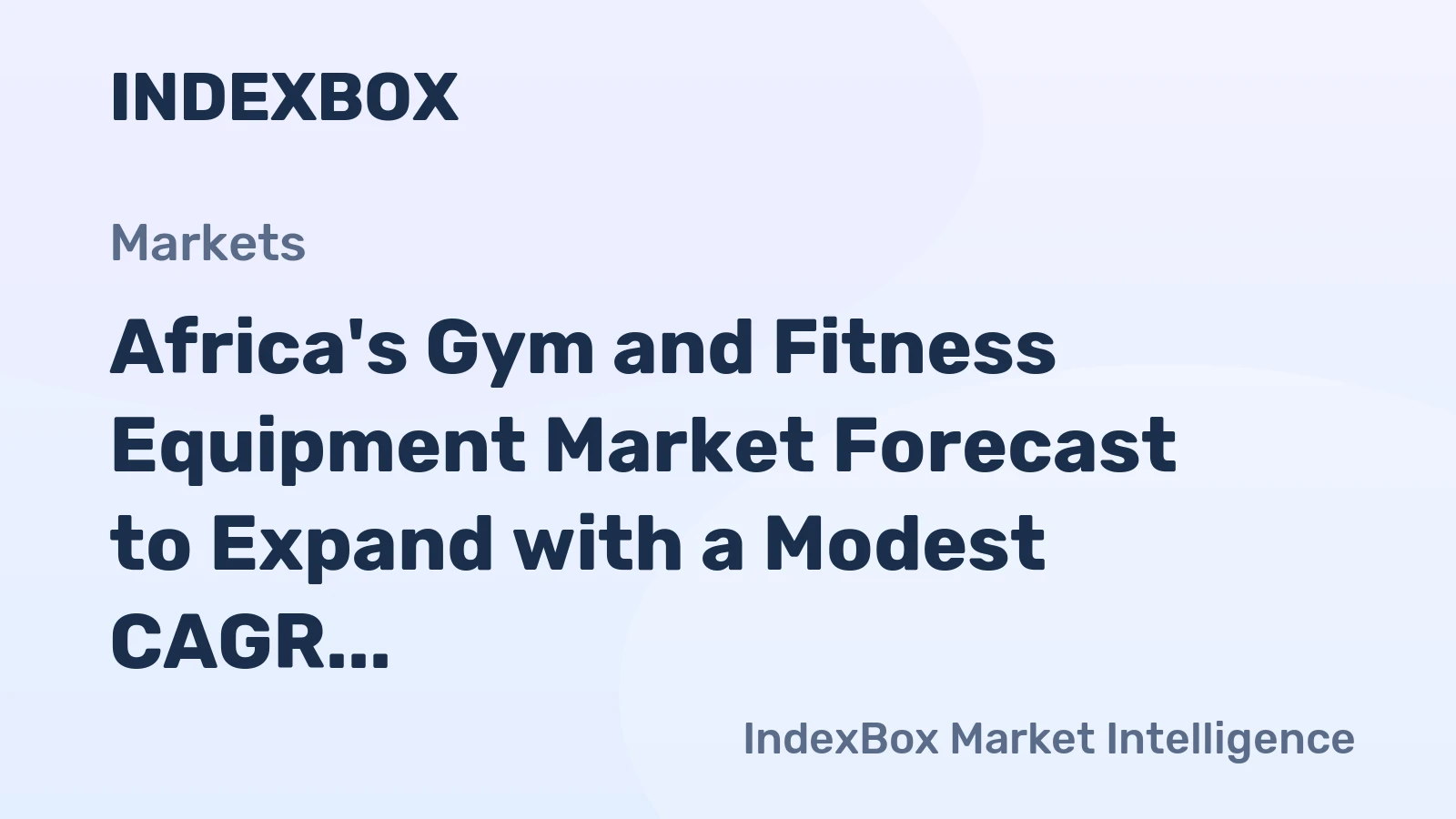 Africa's Gym and Fitness Equipment Market Forecast to Expand with a Modest CAGR