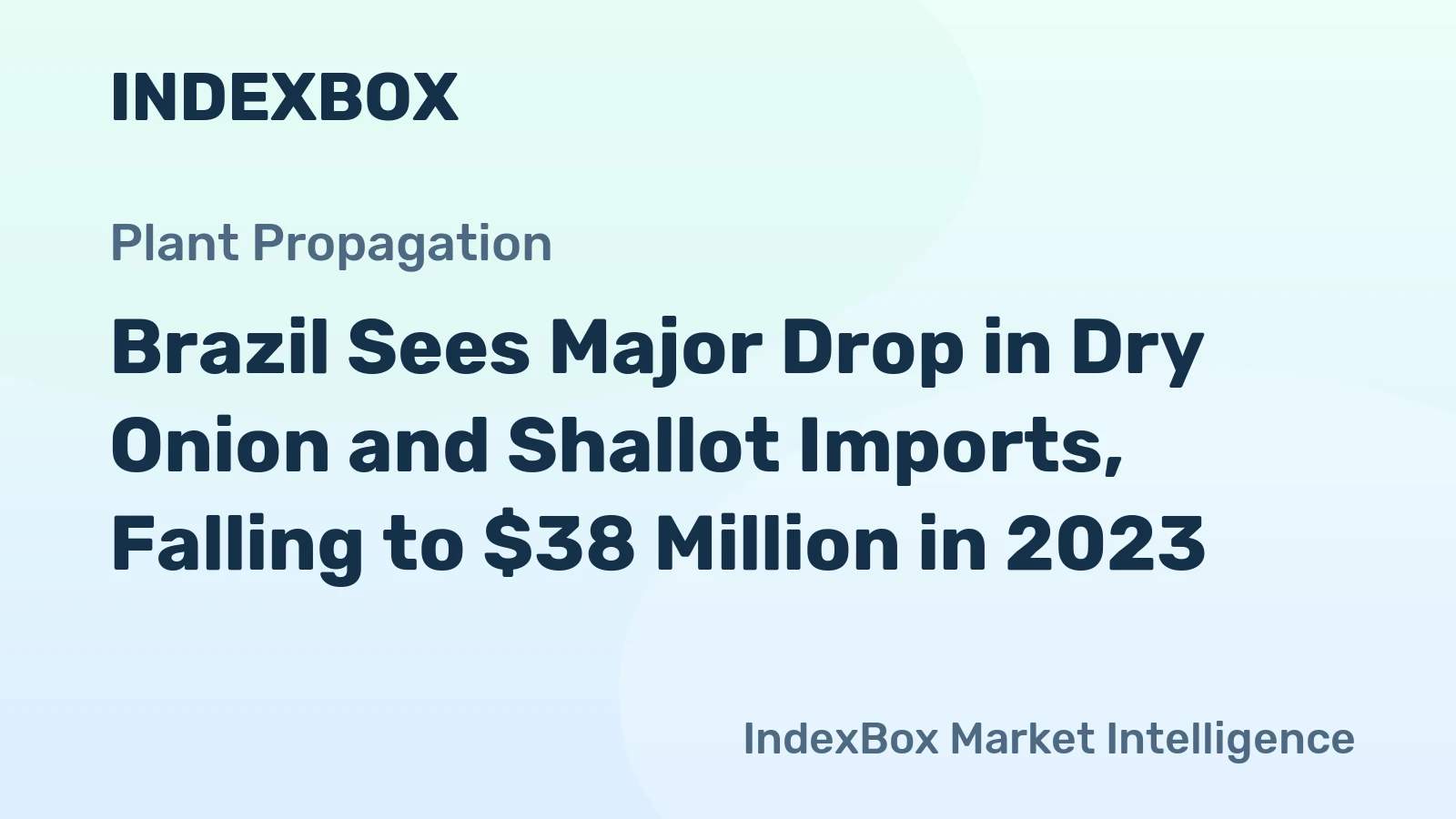 Brazil Sees Major Drop in Dry Onion and Shallot Imports, Falling to $38 Million in 2023