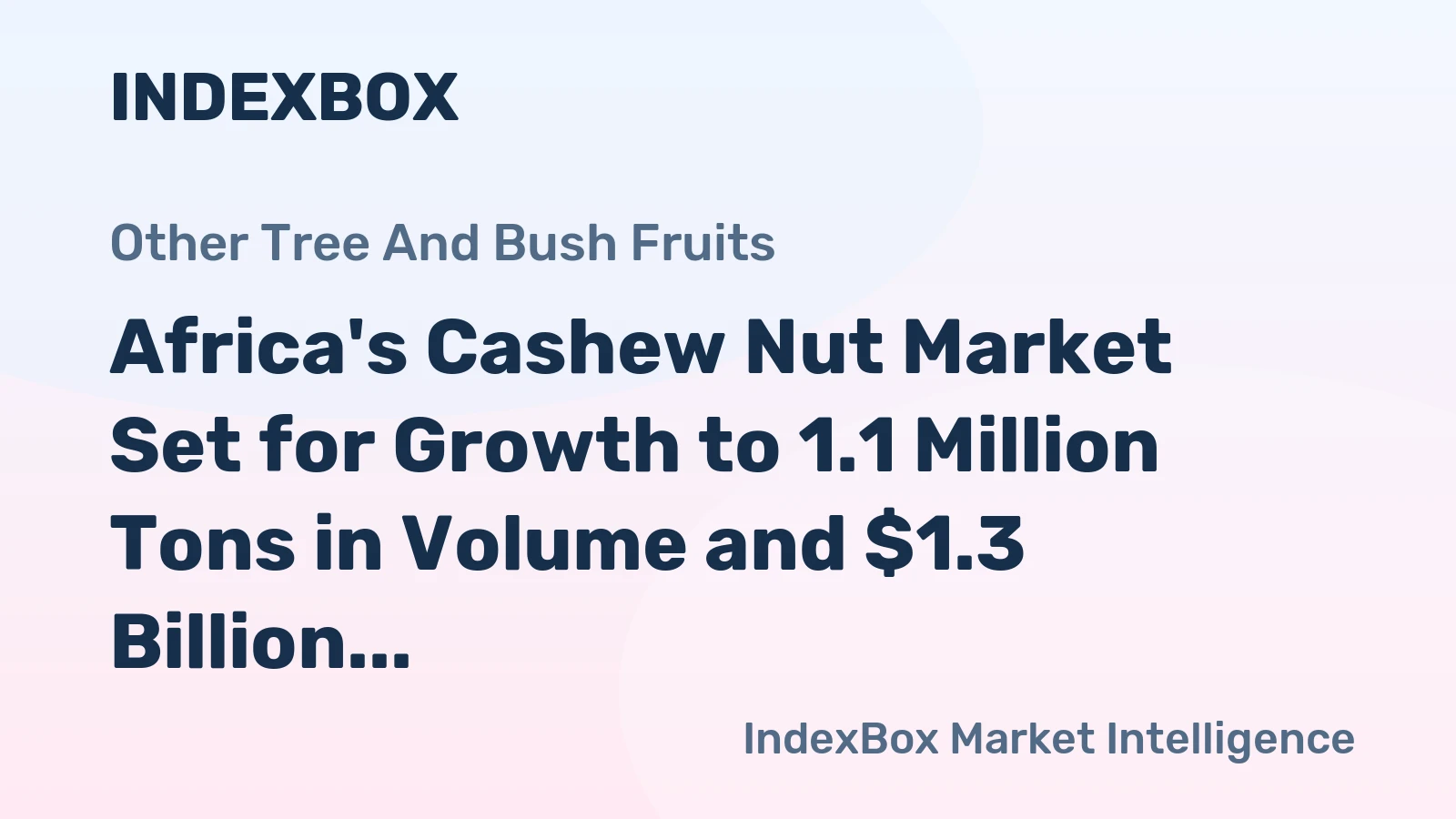 Africa's Cashew Nut Market Set for Growth to 1.1 Million Tons in Volume and $1.3 Billion in Value