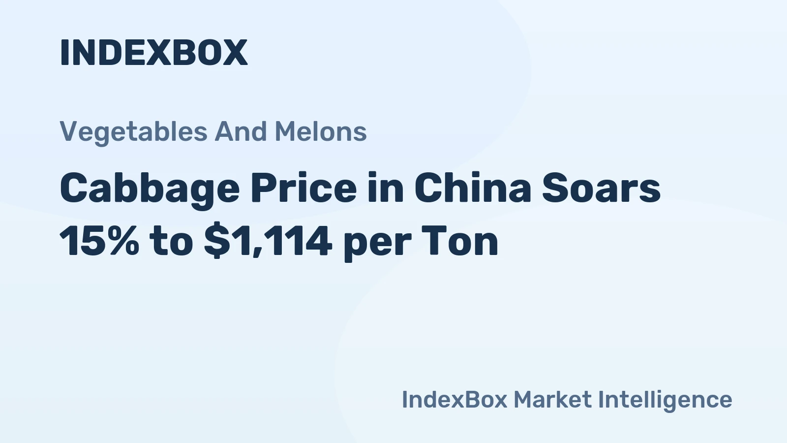 Cabbage Price in China Soars 15% to $1,114 per Ton