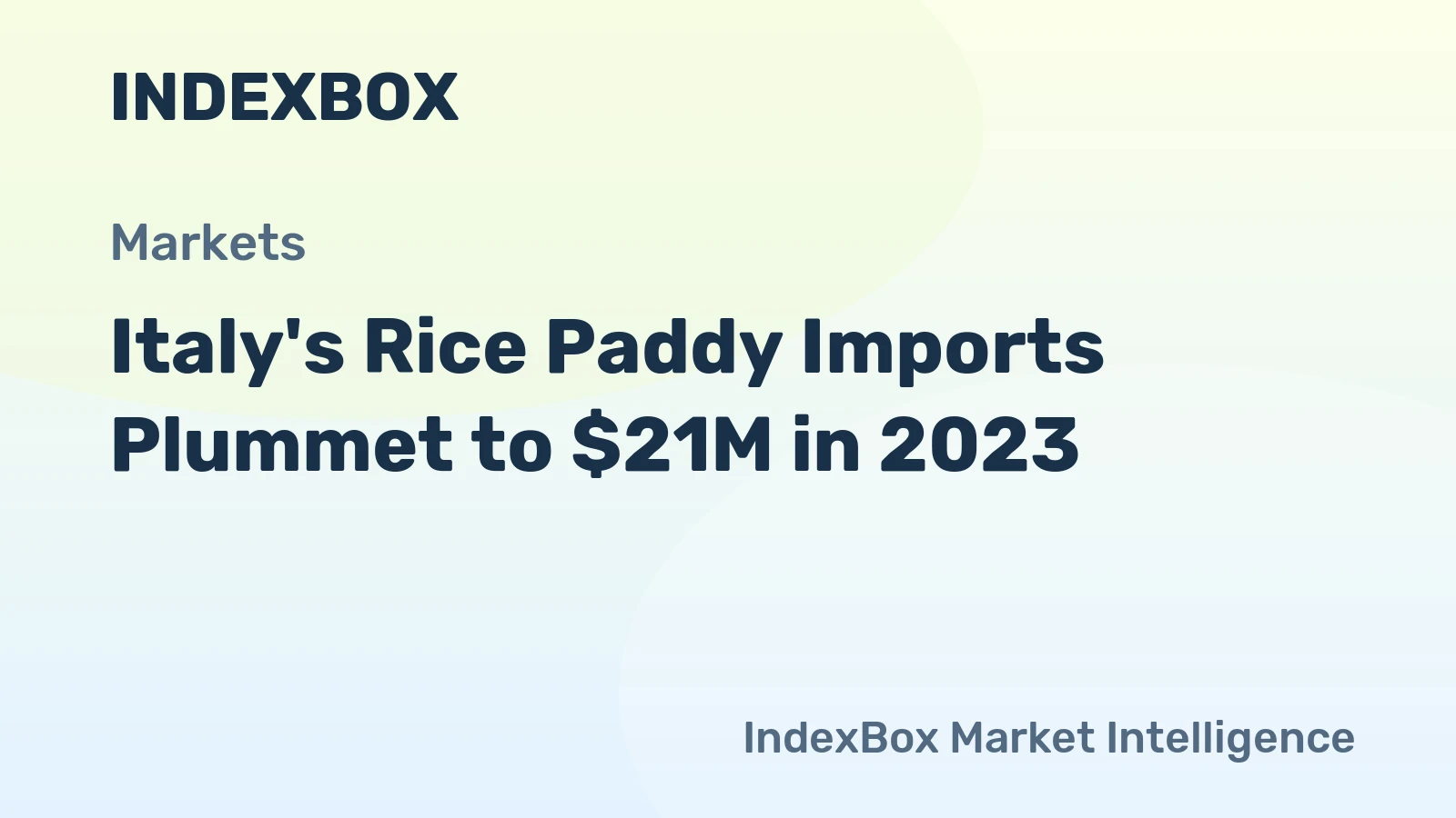 Italy's Rice Paddy Imports Plummet to $21M in 2023