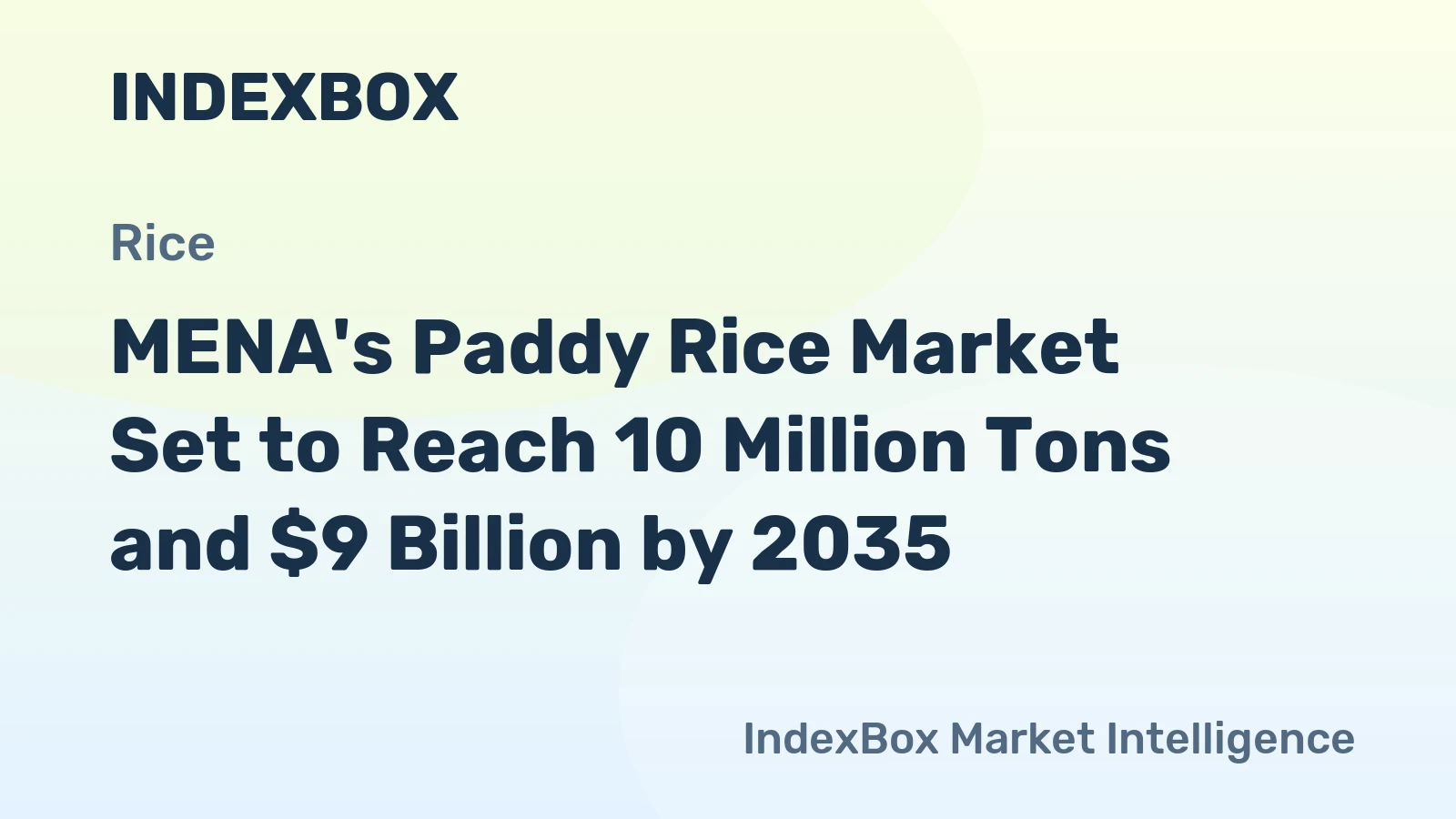 MENA's Paddy Rice Market Set to Reach 10 Million Tons and $9 Billion by 2035