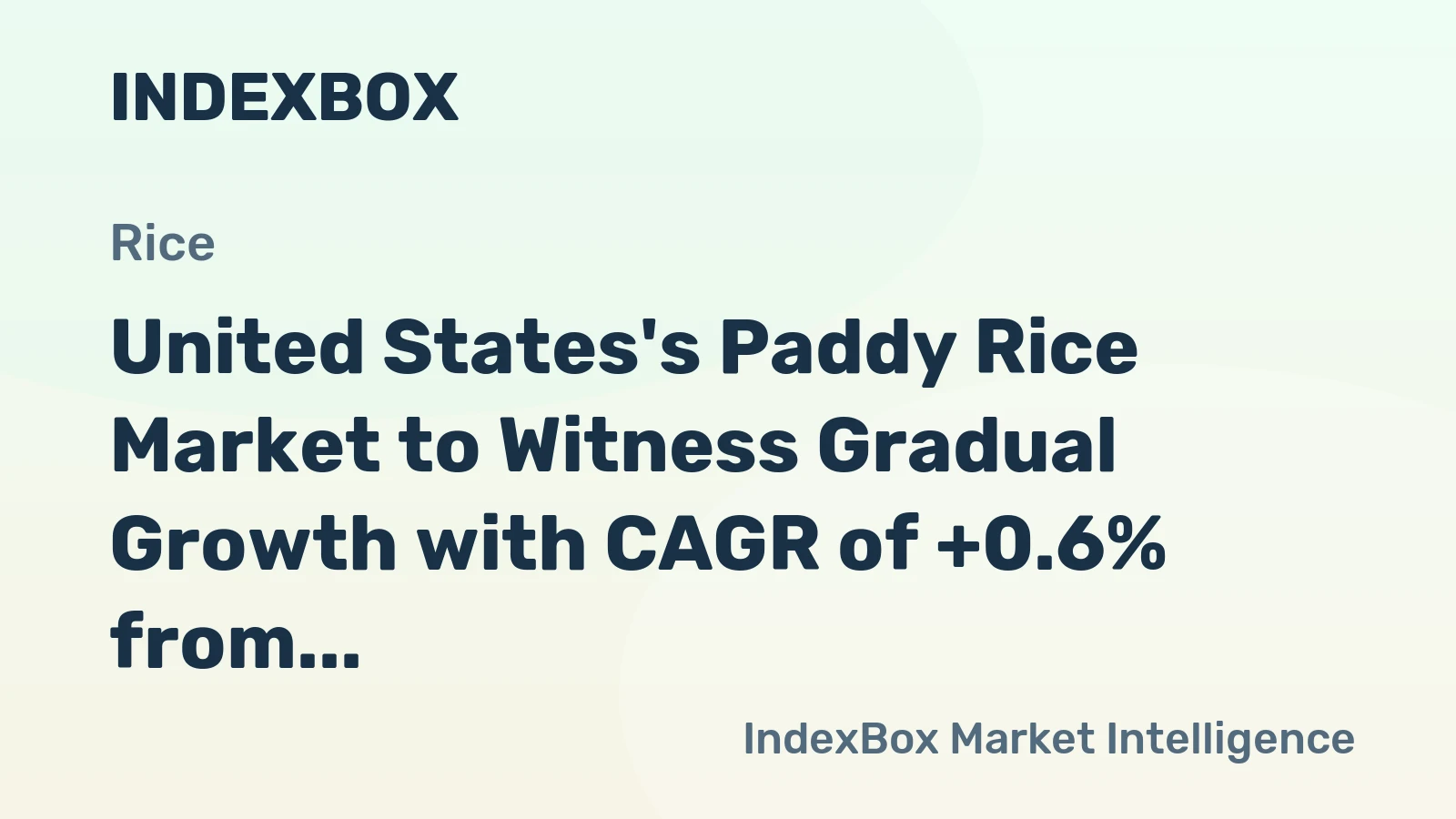 United States's Paddy Rice Market to Witness Gradual Growth with CAGR of +0.6% from 2024 to 2035