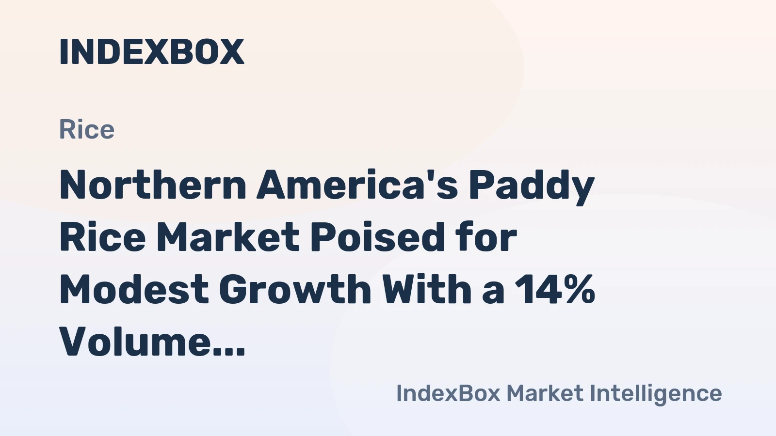 Northern America's Paddy Rice Market Poised for Modest Growth With a 14% Volume CAGR Through 2035