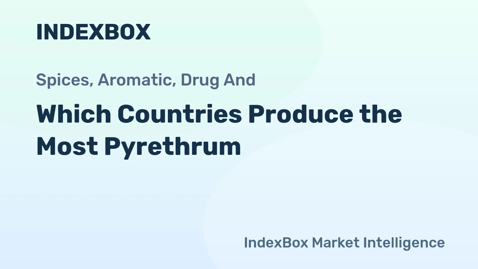 Which Countries Produce the Most Pyrethrum?