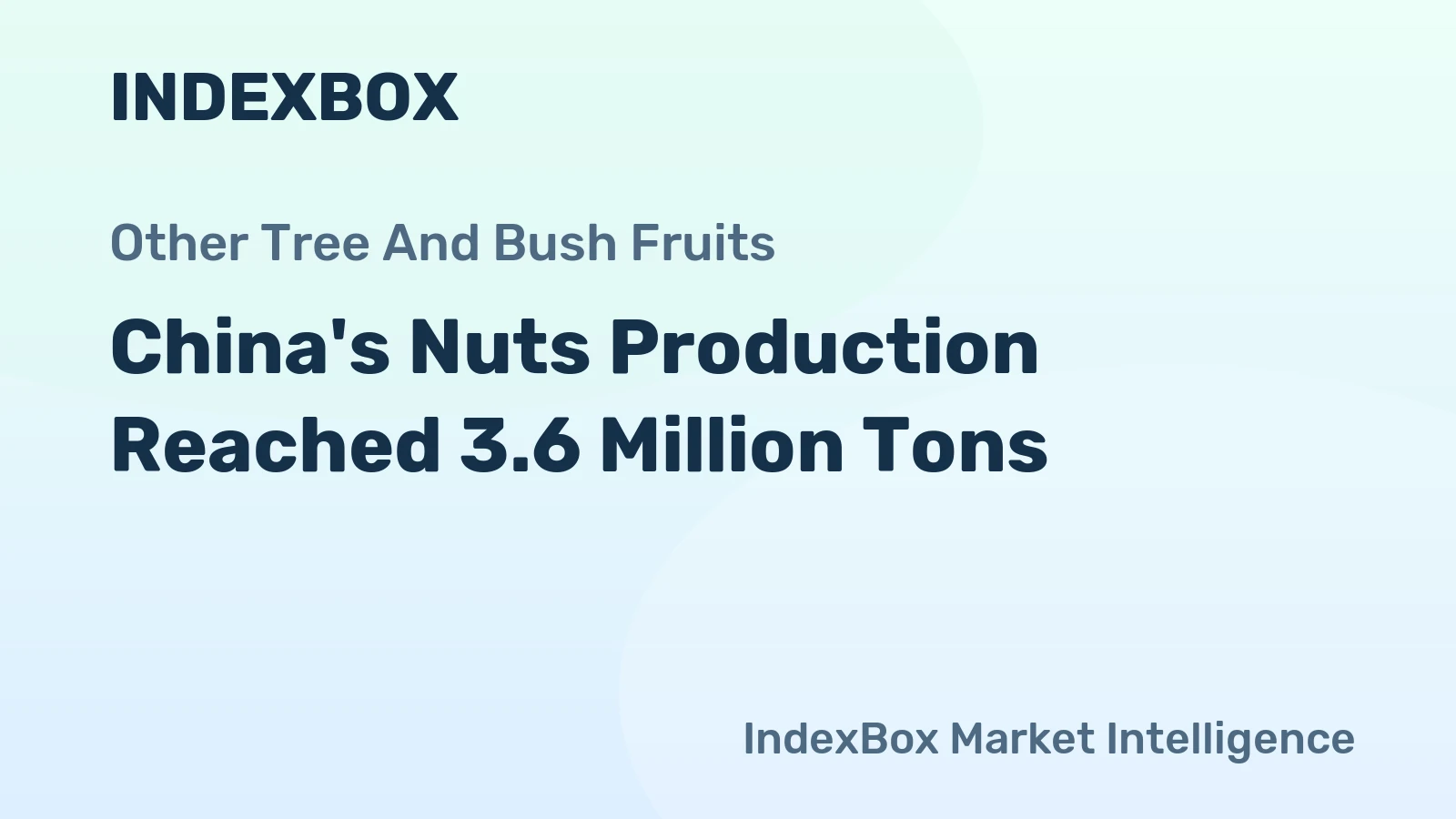 China's Nuts Production Reached 3.6 Million Tons
