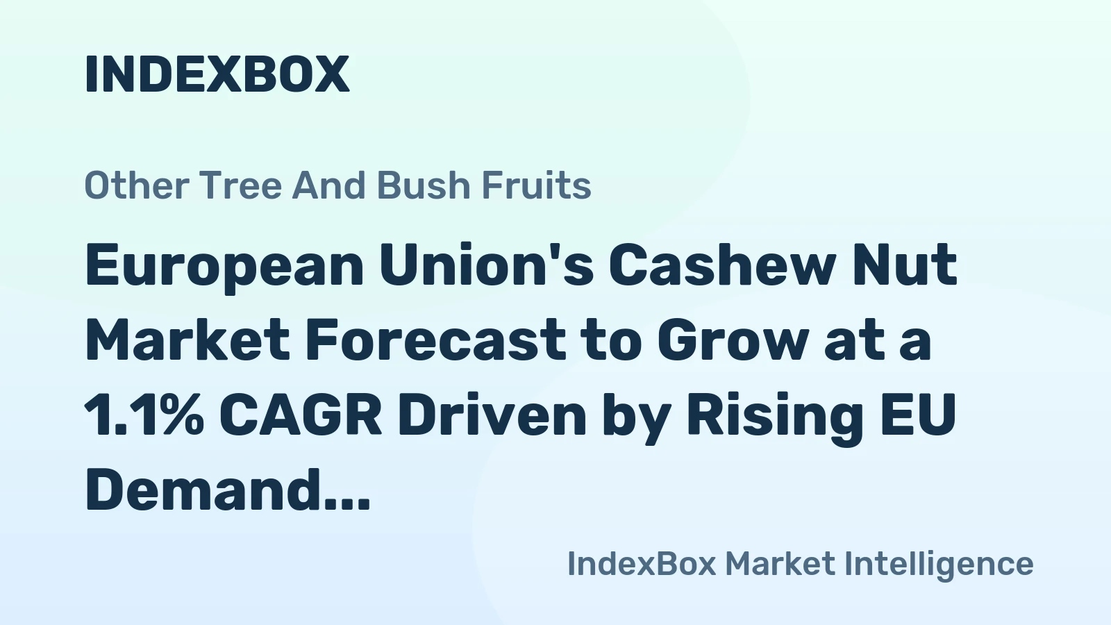 European Union's Cashew Nut Market Forecast to Grow at a 1.1% CAGR Driven by Rising EU Demand