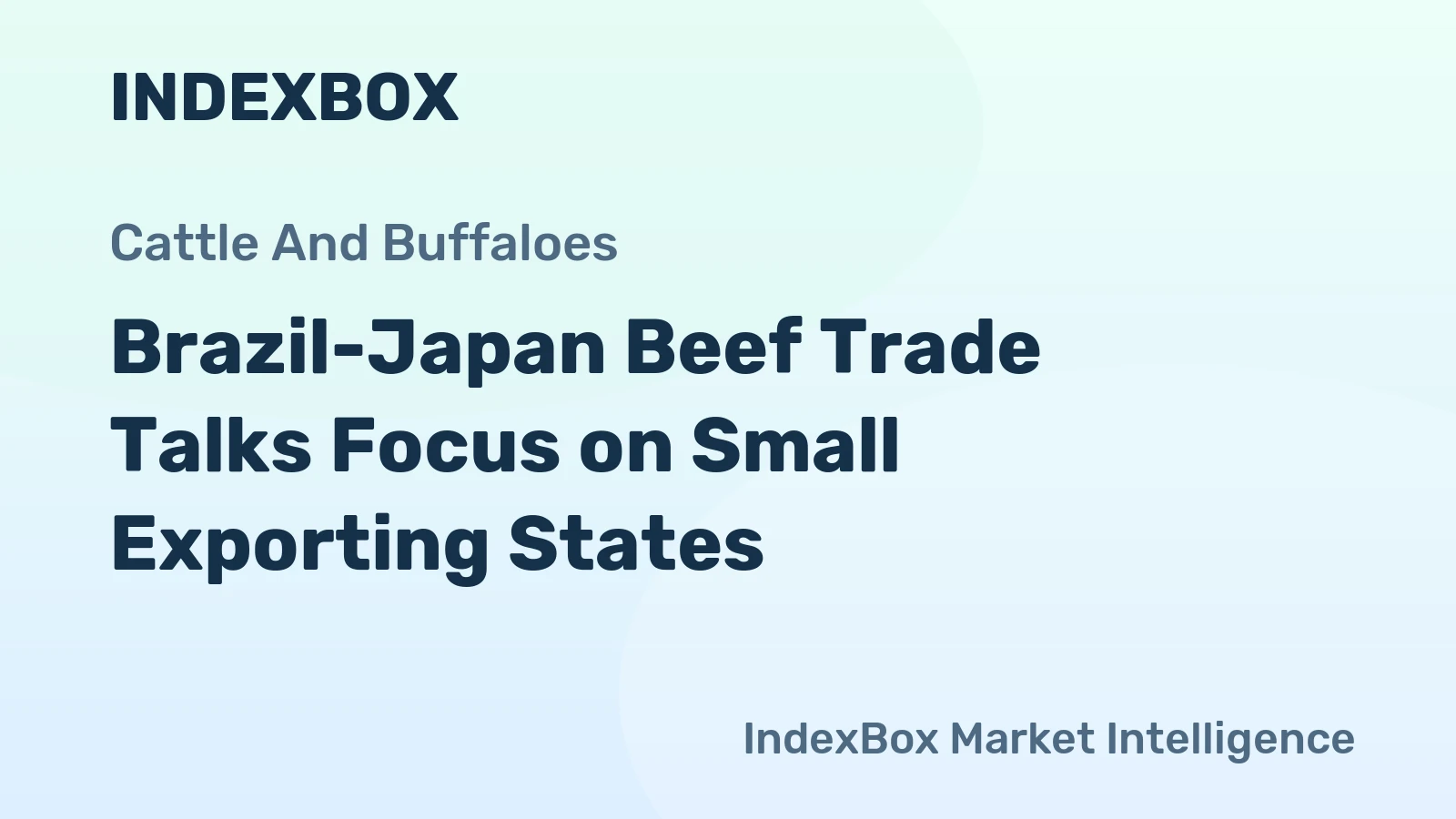 Brazil-Japan Beef Trade Talks Focus on Small Exporting States