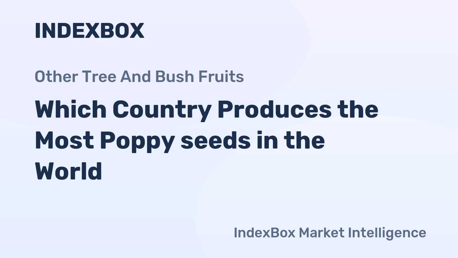 Which Country Produces the Most Poppy seeds in the World?