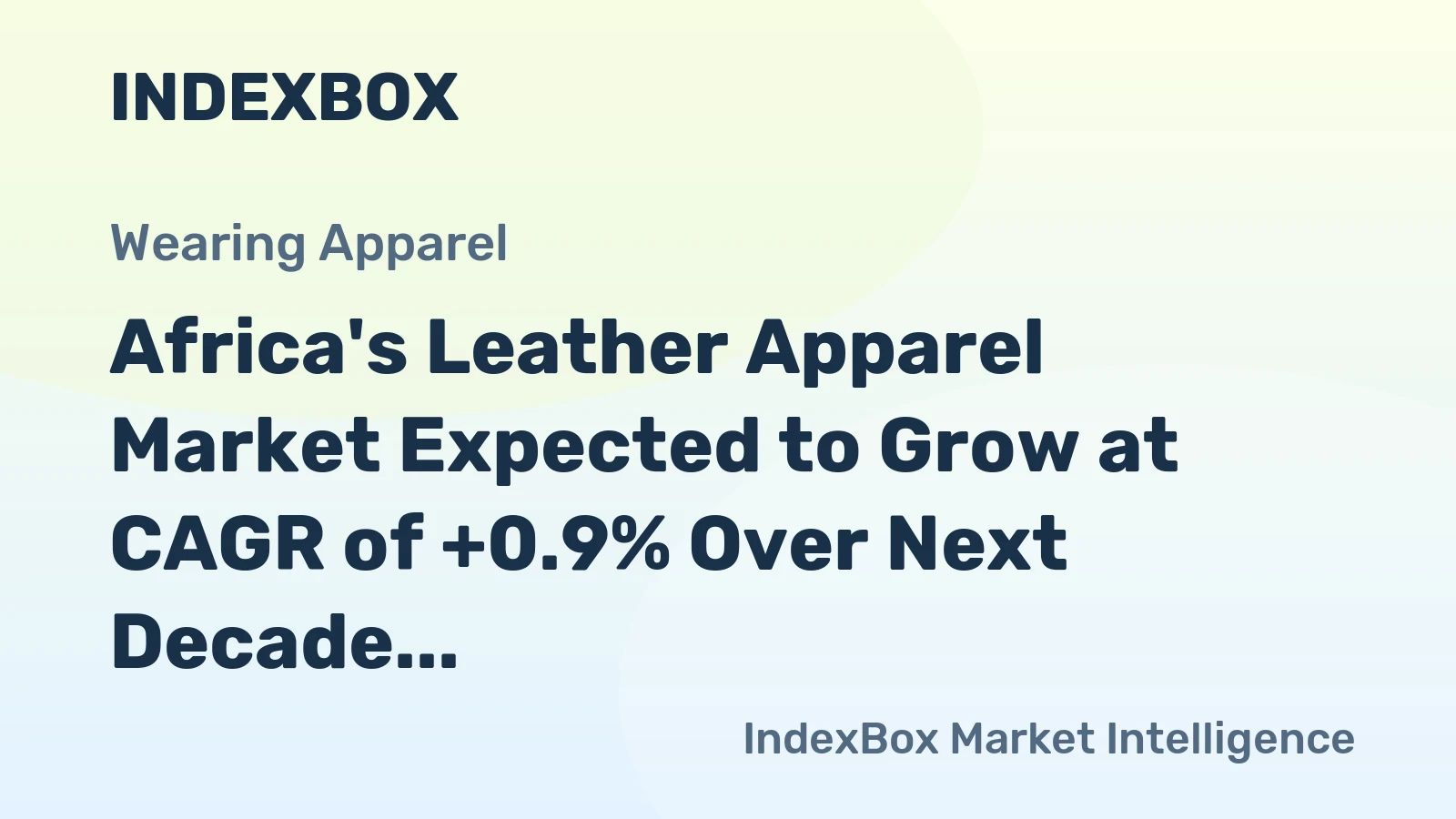 Africa's Leather Apparel Market Expected to Grow at CAGR of +0.9% Over Next Decade