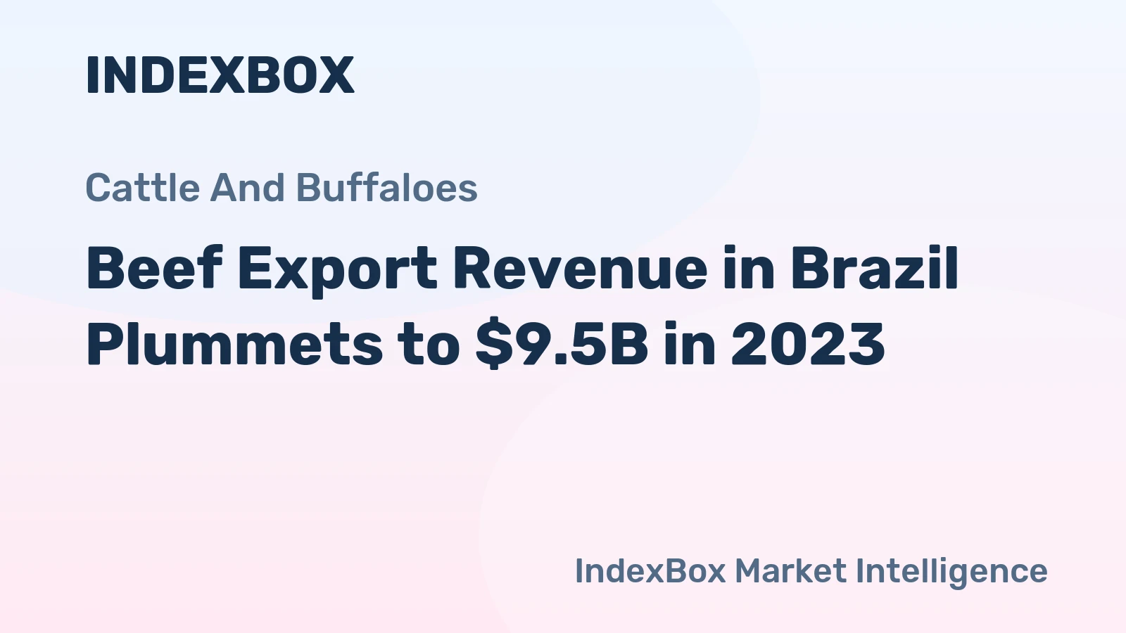 Beef Export Revenue in Brazil Plummets to $9.5B in 2023